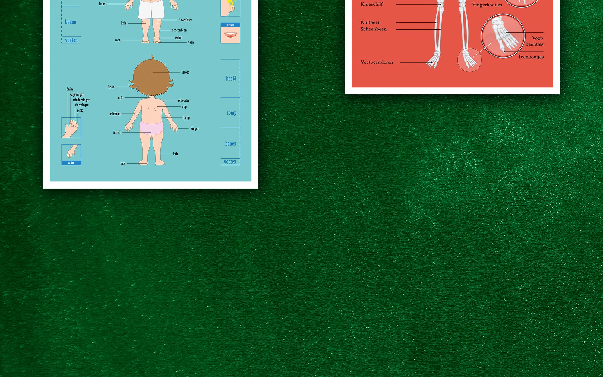 Kule Biologi Plakater Biology Poster Etsy Nederland